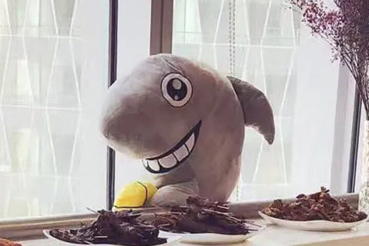 DouYu: A headless fighting fish swimming against the tide - Bamboo ...