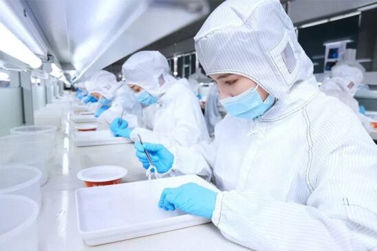Yan Palace flies back to profit growth as revenue sags - Bamboo Works ...